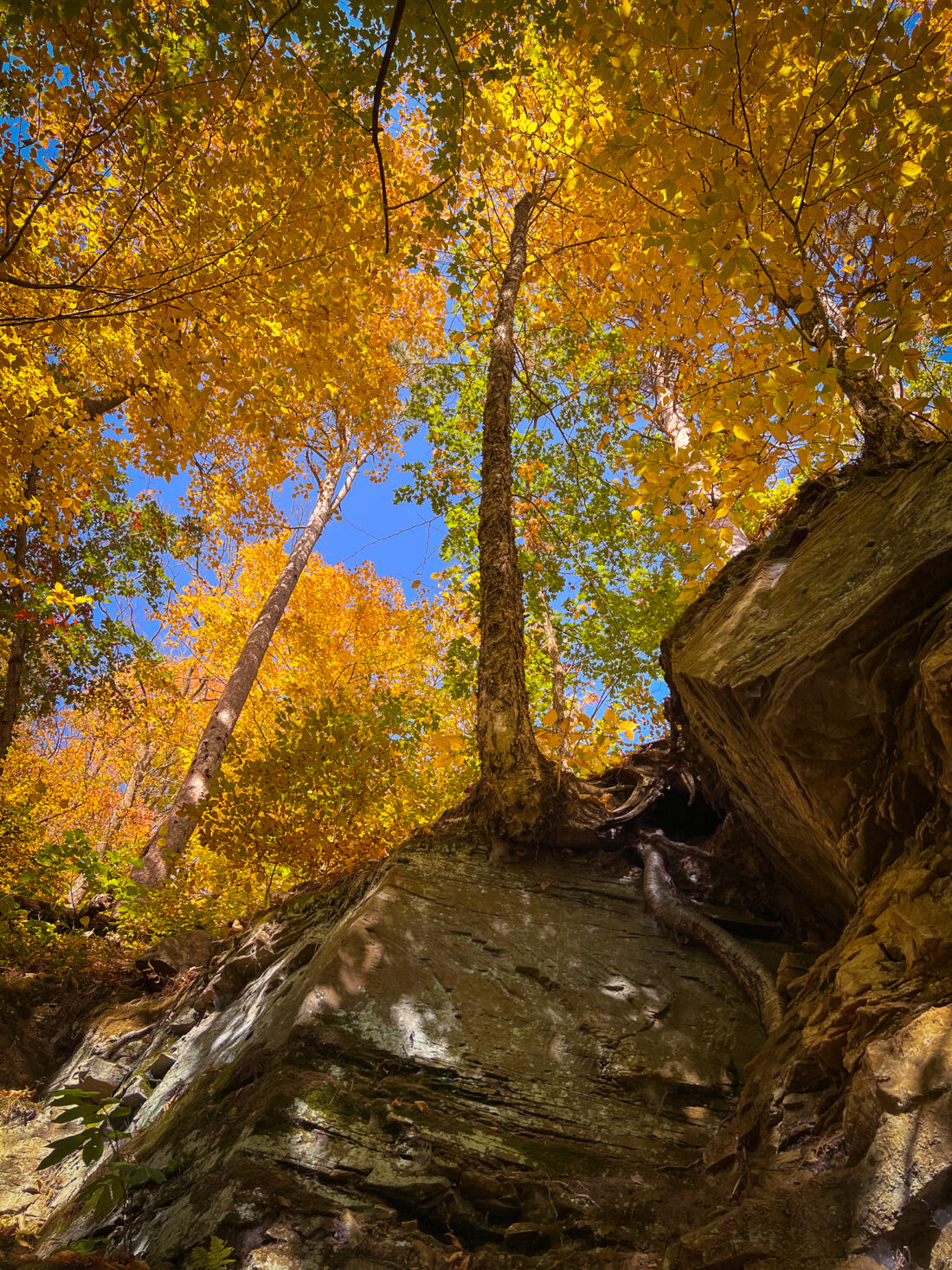 Call My Bluff: The Perfect Minnesota Hike - Ana Adventure