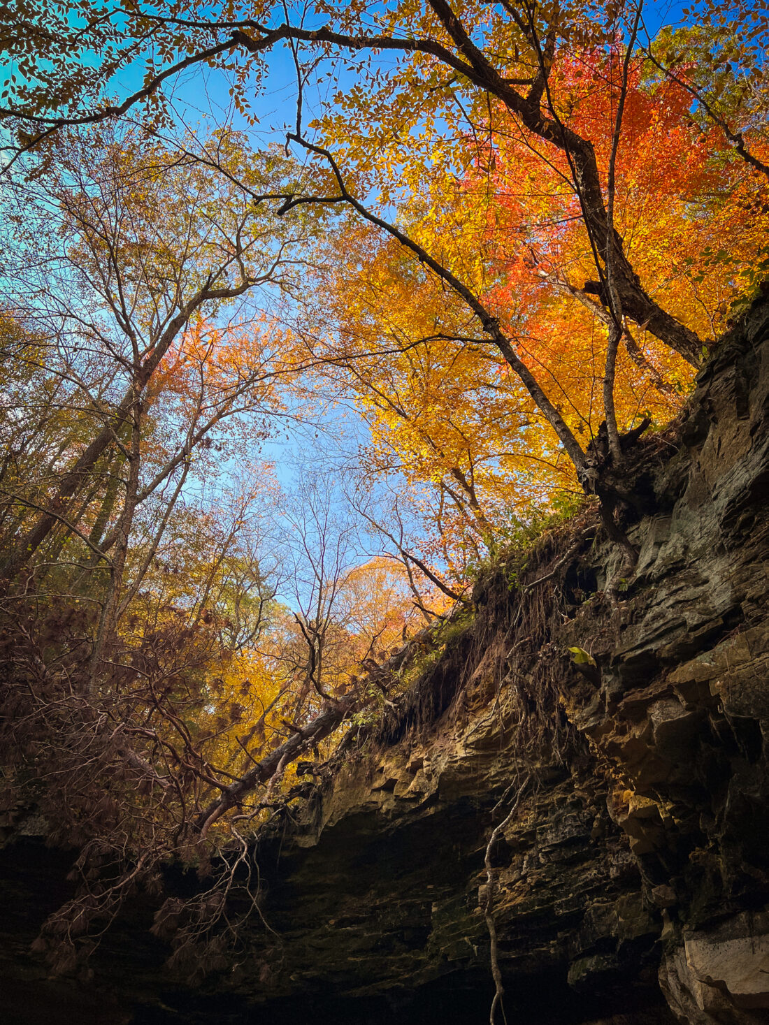 Call My Bluff: The Perfect Minnesota Hike - Ana Adventure